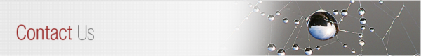 Contact Us – Top Global Limited